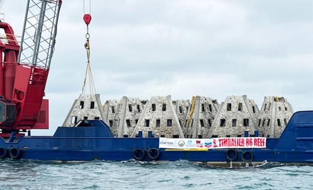 Another 'super reef' is under construction in the Gulf | St. Mary Now